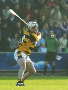 Sportsfile - Oulart-the-Ballagh v Rathnure - Wexford Senior Hurling ...
