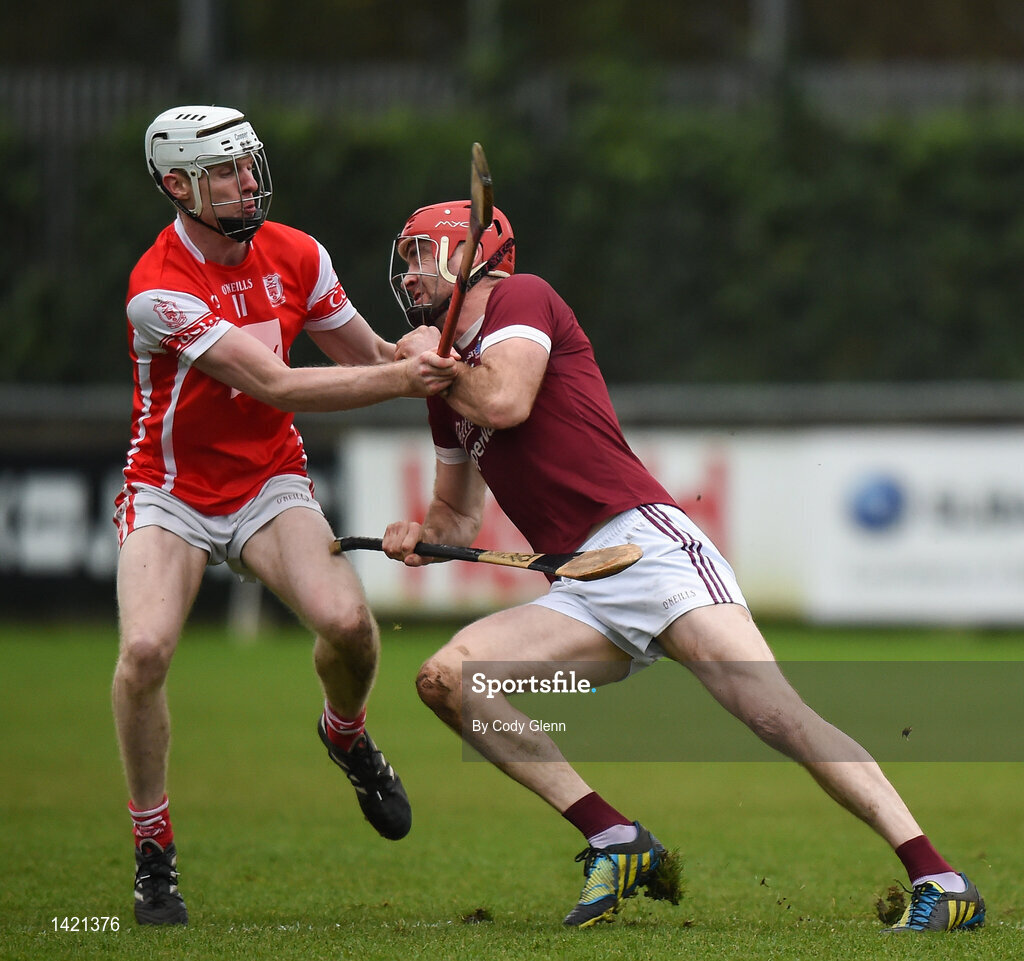 Sportsfile - Cuala v St Martin's GAA Club - AIB Leinster GAA Hurling ...