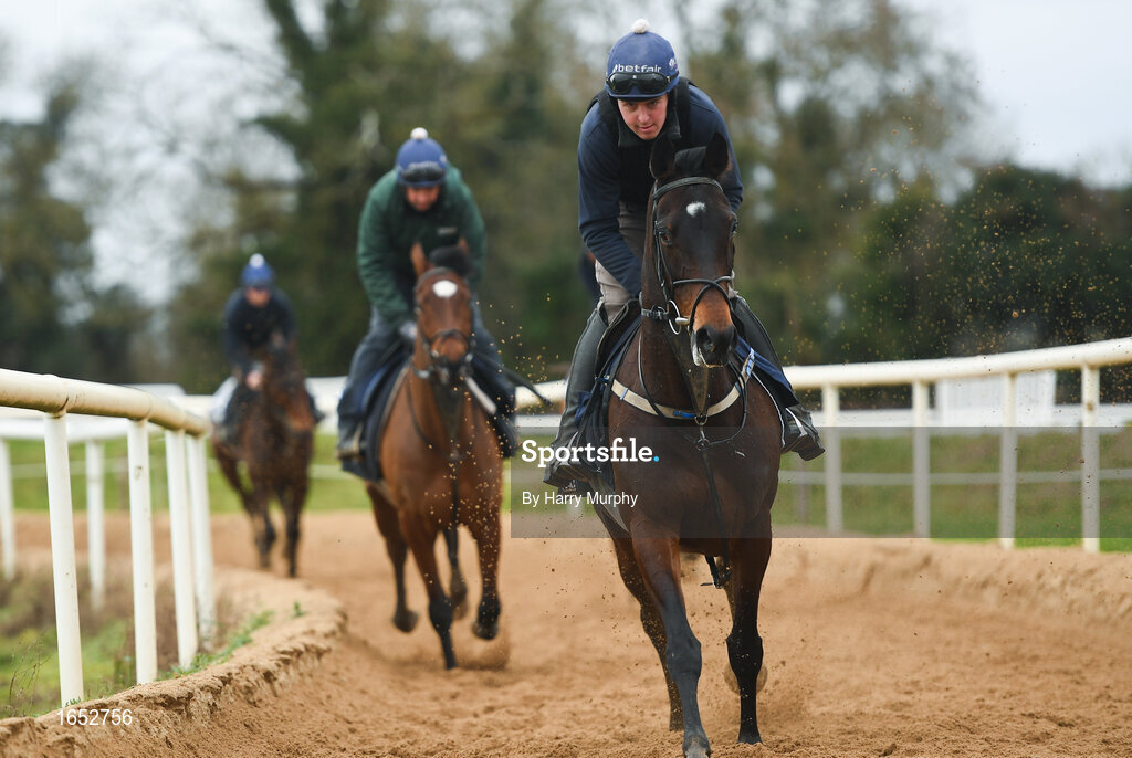Sportsfile - Gordon Elliott Yard Visit - 1652756