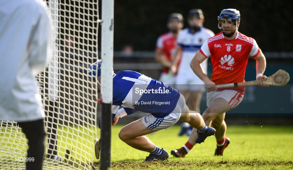 Sportsfile - St Vincents v Cuala - Dublin County Senior Club Hurling ...
