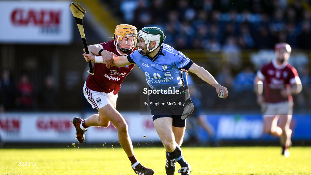 Sportsfile - St Anne's v St Martin's - Wexford County Senior Club ...