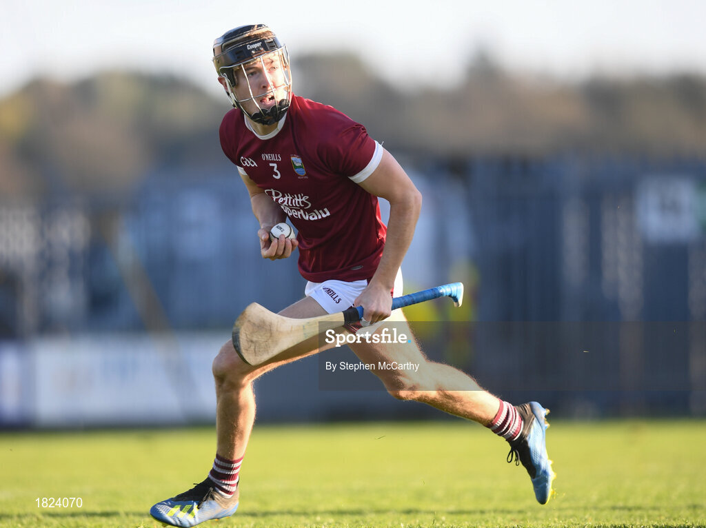 Sportsfile - St Anne's v St Martin's - Wexford County Senior Club ...