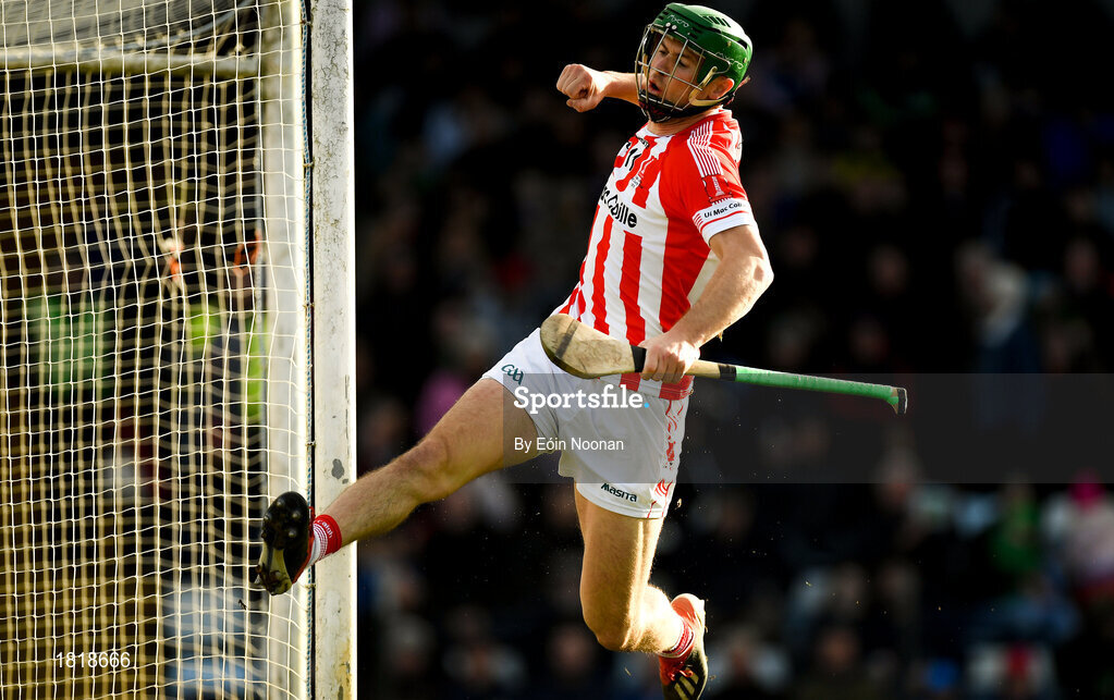 Sportsfile - Sportsfile Images of the Year 2019 - 1818666