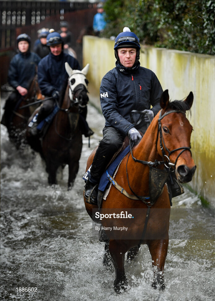 Sportsfile - Gordon Elliott Yard Visit - 1886602