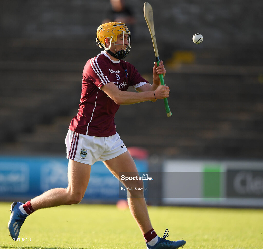Sportsfile - St Martin's v Glynn-Barntown - Wexford County Senior ...