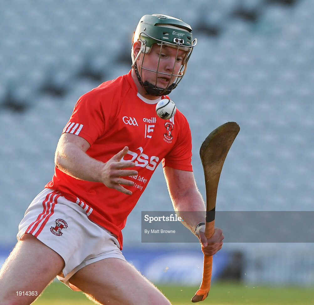 Sportsfile - Doon v Patrickswell - Limerick County Senior Hurling ...