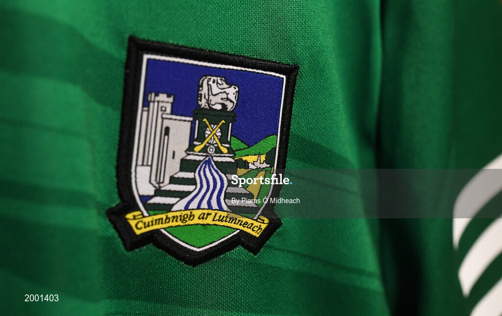 Sportsfile - Limerick Hurling Squad Portraits 2021 - 2001403