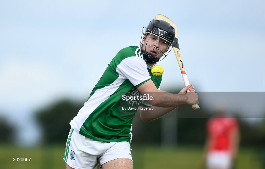 Sportsfile - Louth v Fermanagh - Allianz Hurling League Roinn 3B - 2020667