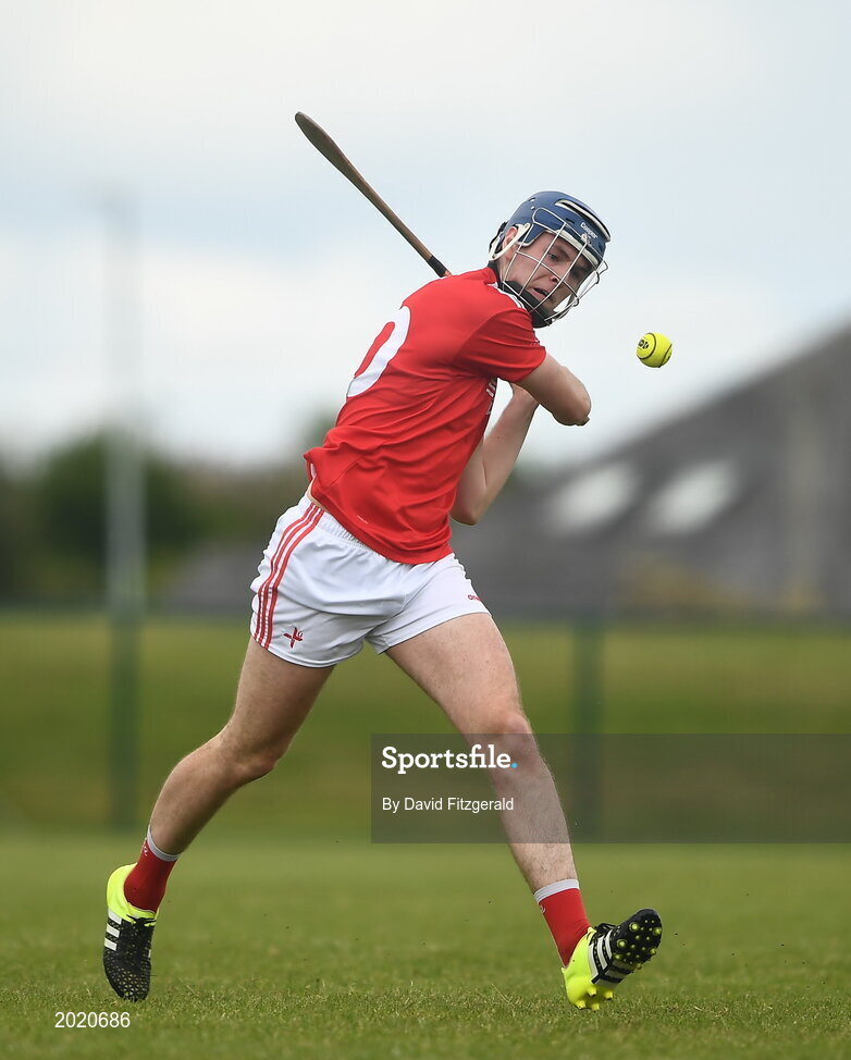 Sportsfile - Louth v Fermanagh - Allianz Hurling League Roinn 3B - 2020686