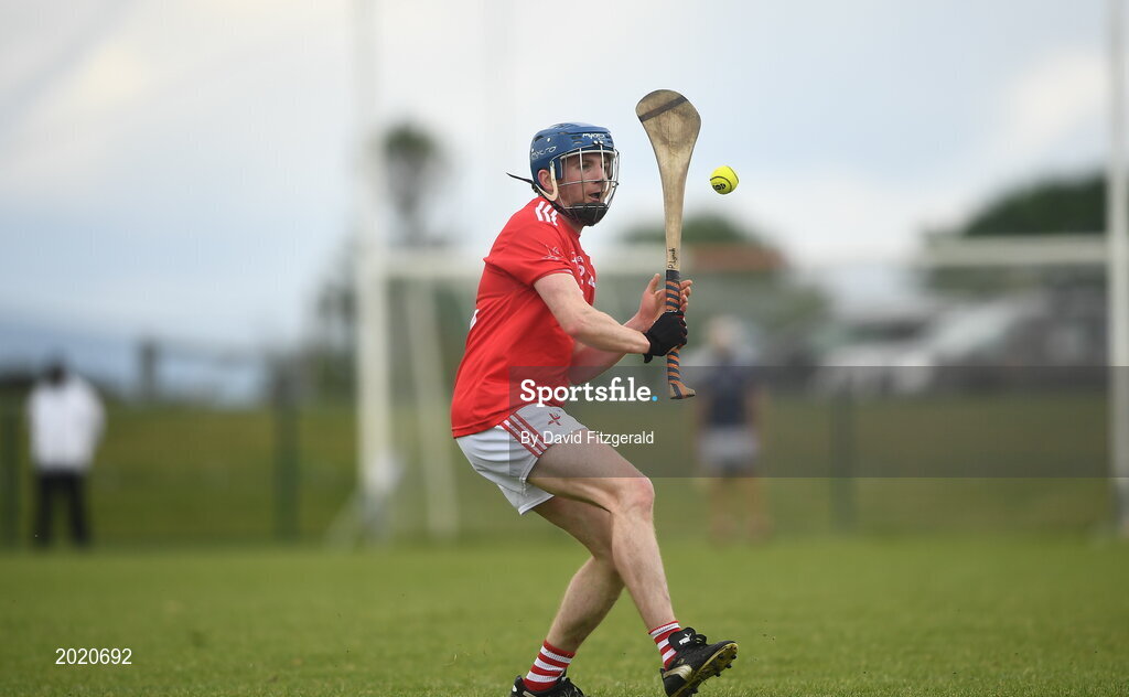Sportsfile - Louth v Fermanagh - Allianz Hurling League Roinn 3B - 2020692