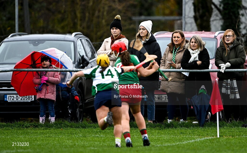 Sportsfile - Sarsfields v Drom and Inch - 2020 AIB All-Ireland Senior ...