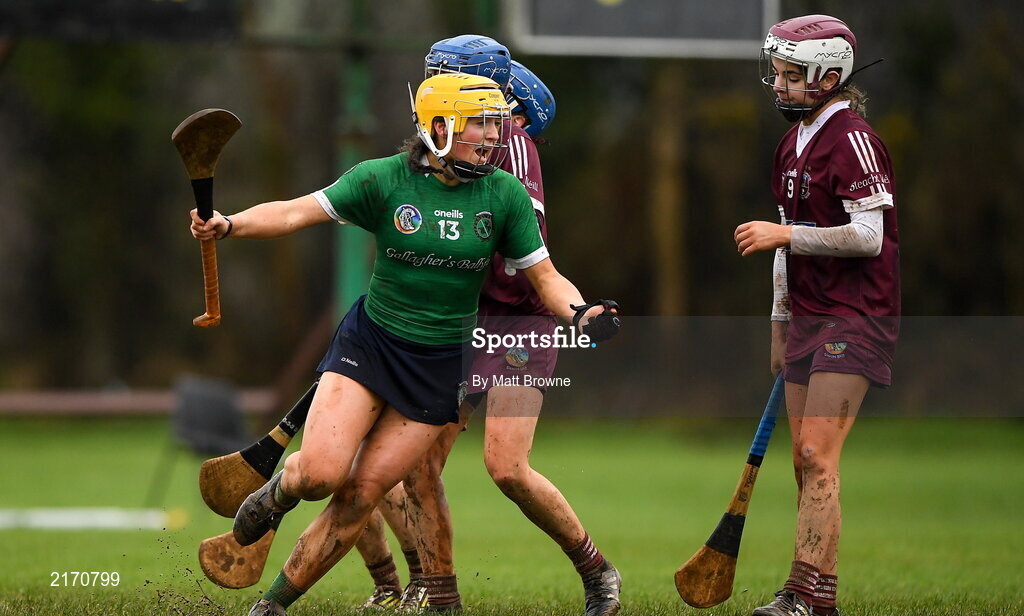 Sportsfile - Sarsfields v Slaughtneil - AIB All-Ireland Senior Camogie ...