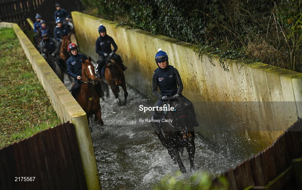 Sportsfile - Gordon Elliott Yard Visit - 2175567