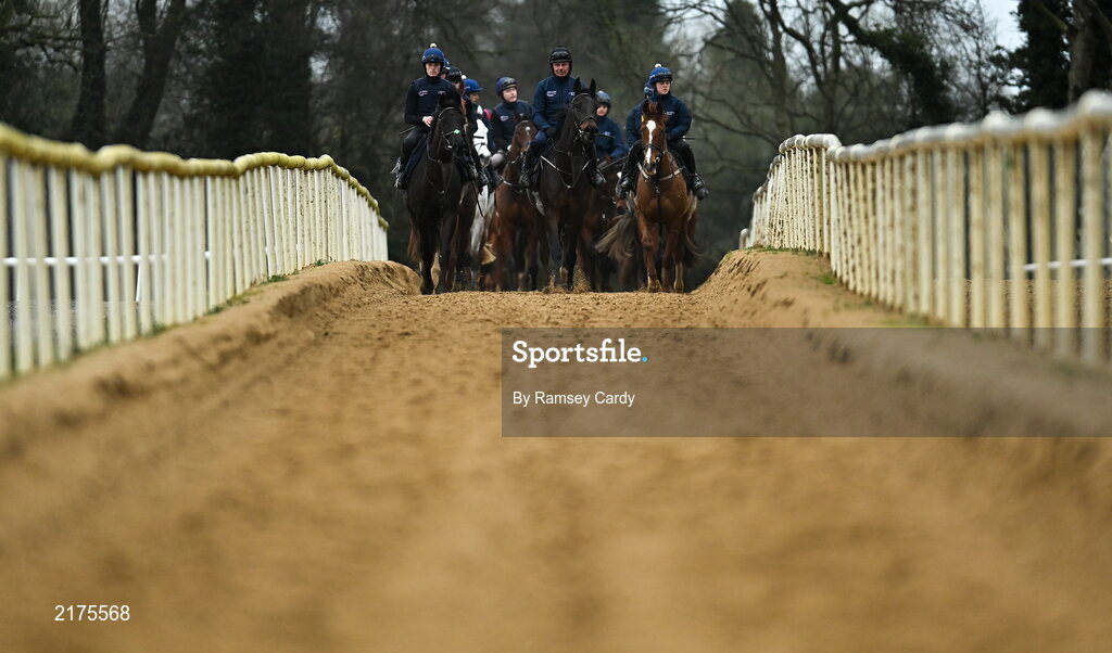 Sportsfile - Gordon Elliott Yard Visit - 2175568