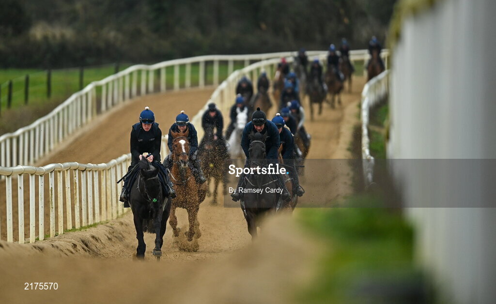 Sportsfile - Gordon Elliott Yard Visit - 2175570
