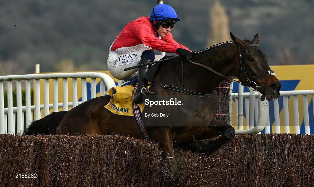 Sportsfile - Cheltenham Racing Festival - St Patrick's Day - 2186282