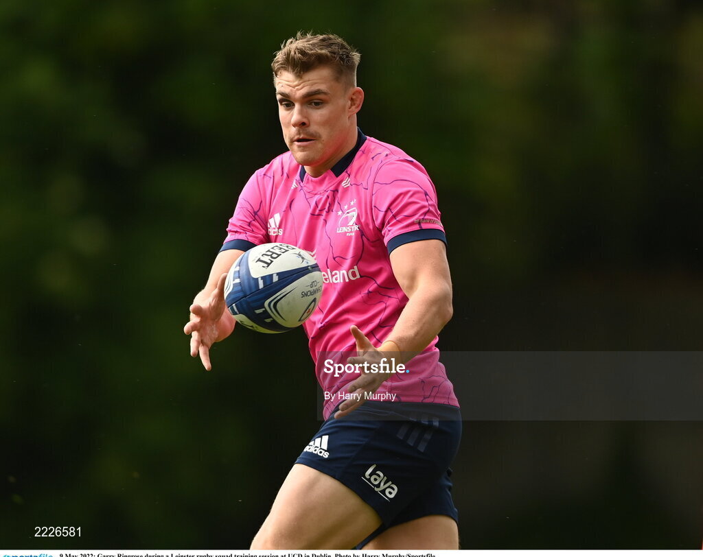 Sportsfile - Leinster Rugby Squad Training - 2226581