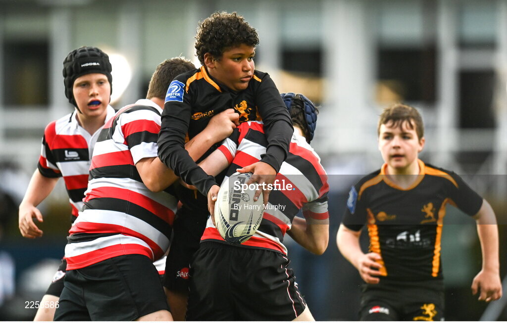 Sportsfile - Half-Time Minis at Leinster v Vodacom Bulls - United Rugby ...