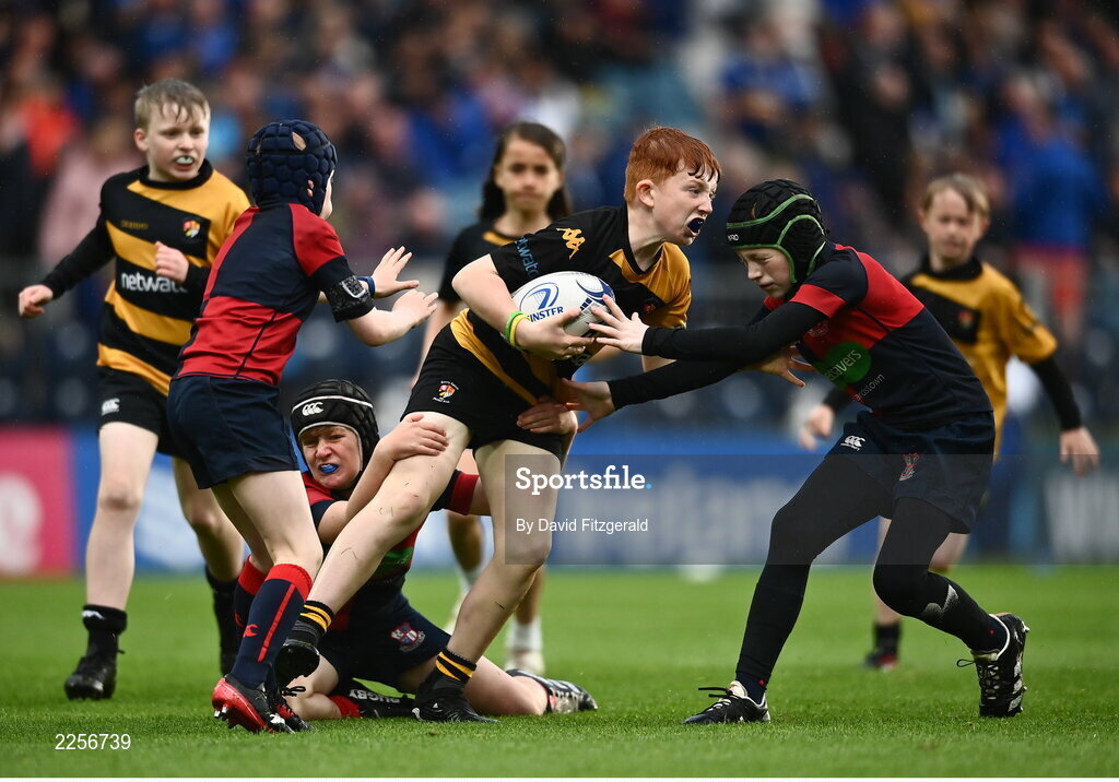 Sportsfile - Half-Time Minis at Leinster v Vodacom Bulls - United Rugby ...
