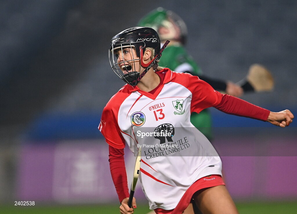 Sportsfile - Sarsfields v Loughgiel Shamrocks - AIB All-Ireland Senior ...