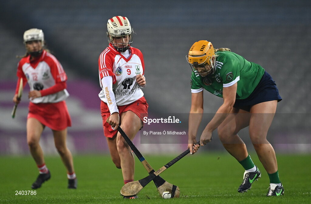 Sportsfile - Sarsfields v Loughgiel Shamrocks - AIB All-Ireland Senior ...