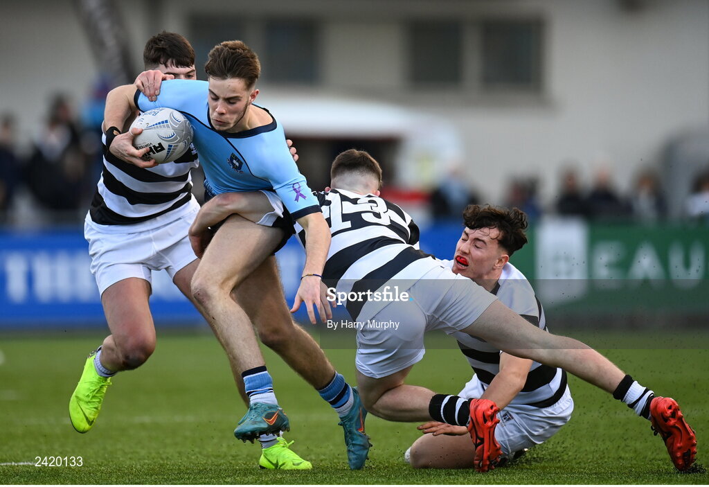 Sportsfile - St Michael’s College v Belvedere College - Bank of Ireland ...