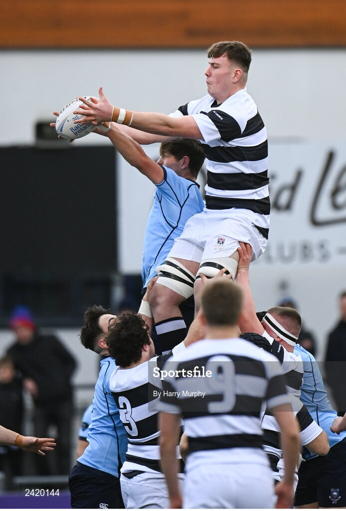 Sportsfile - St Michael’s College v Belvedere College - Bank of Ireland ...