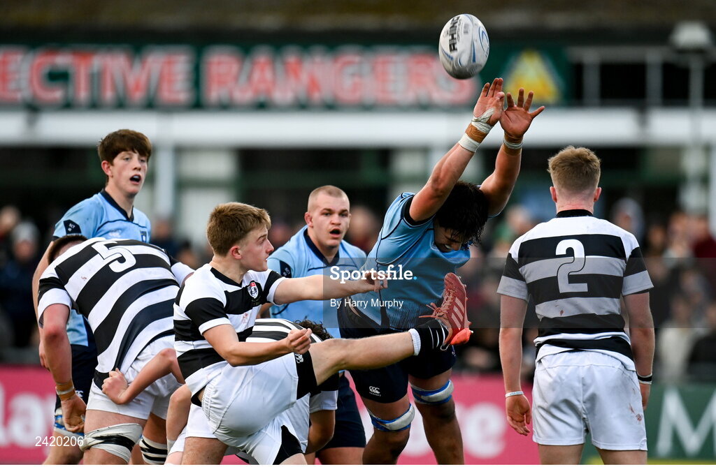 Sportsfile - St Michael’s College v Belvedere College - Bank of Ireland ...