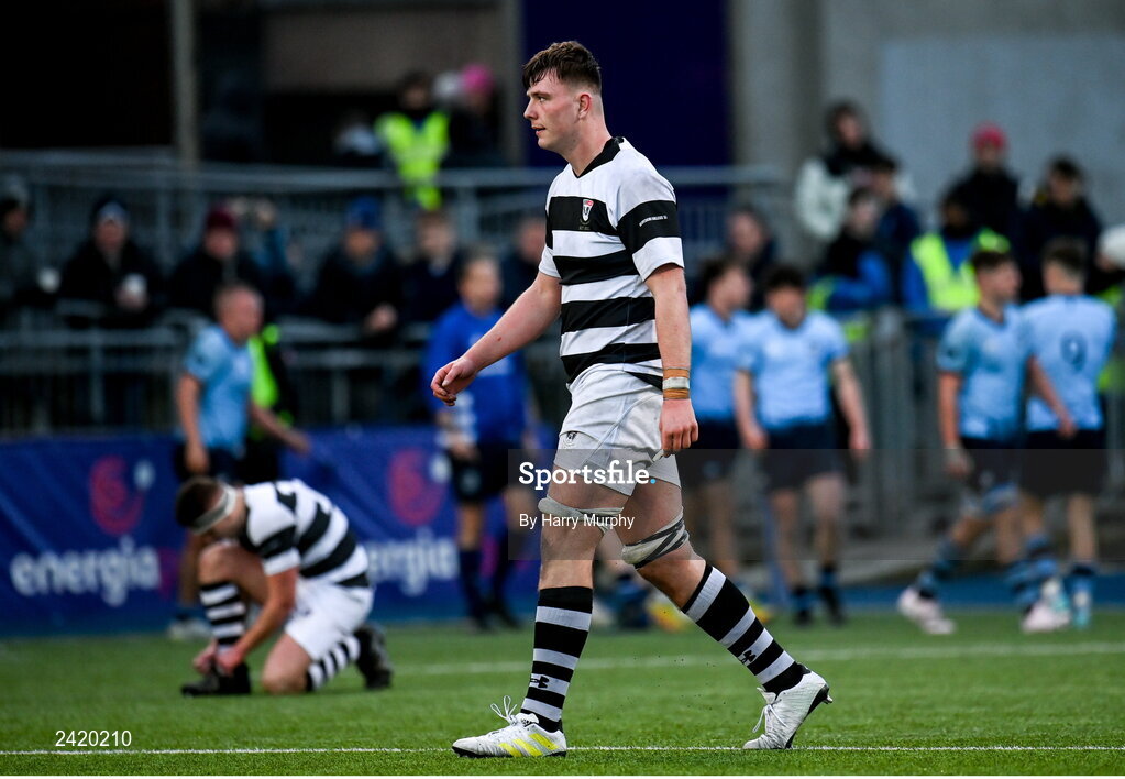 Sportsfile - St Michael’s College v Belvedere College - Bank of Ireland ...