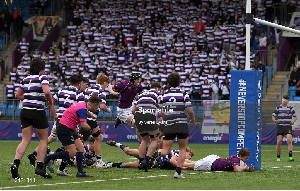 Sportsfile - Terenure College v Clongowes Wood College - Bank of ...