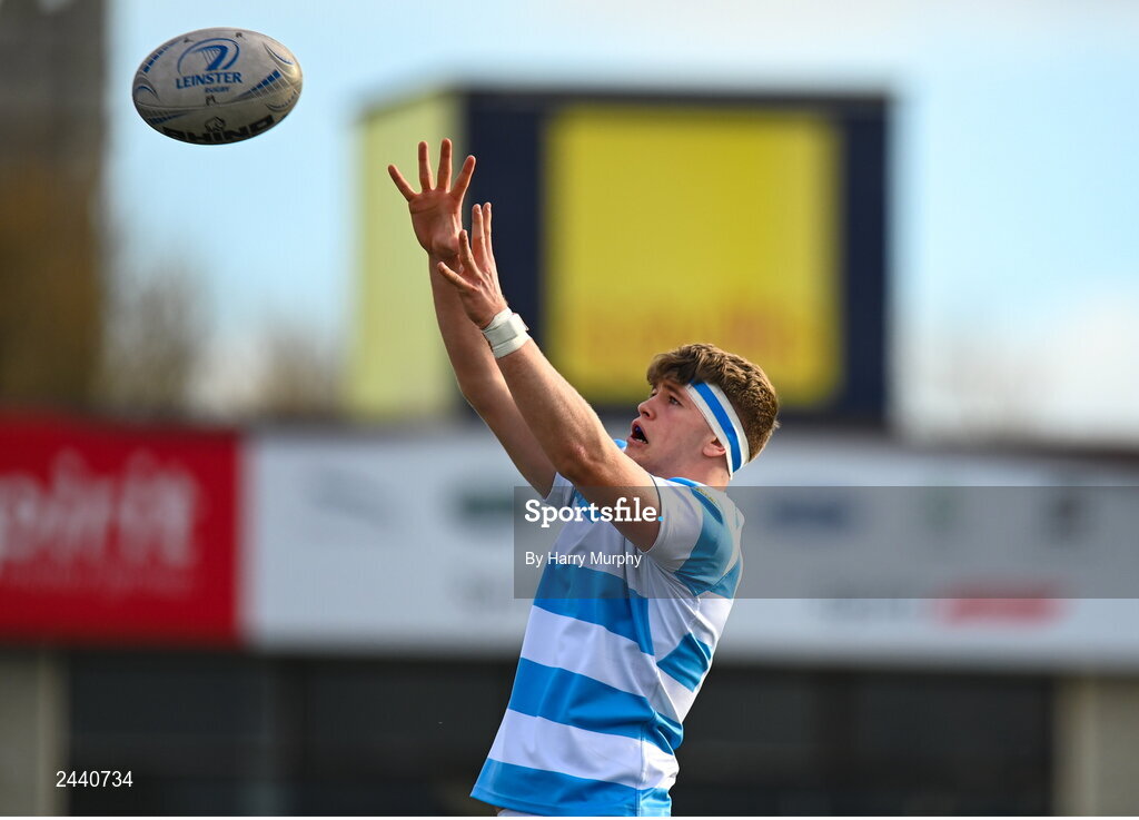 Sportsfile - Blackrock College v Cistercian College - Bank of Ireland ...