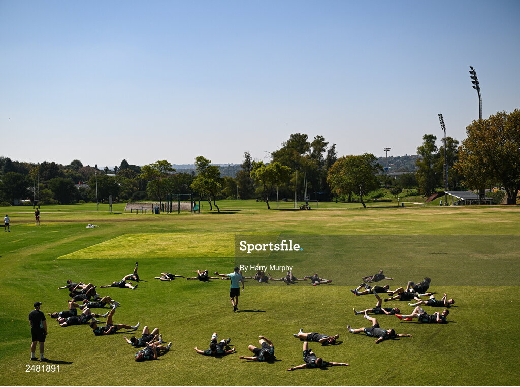 Sportsfile - Leinster Rugby Training Session - 2481891