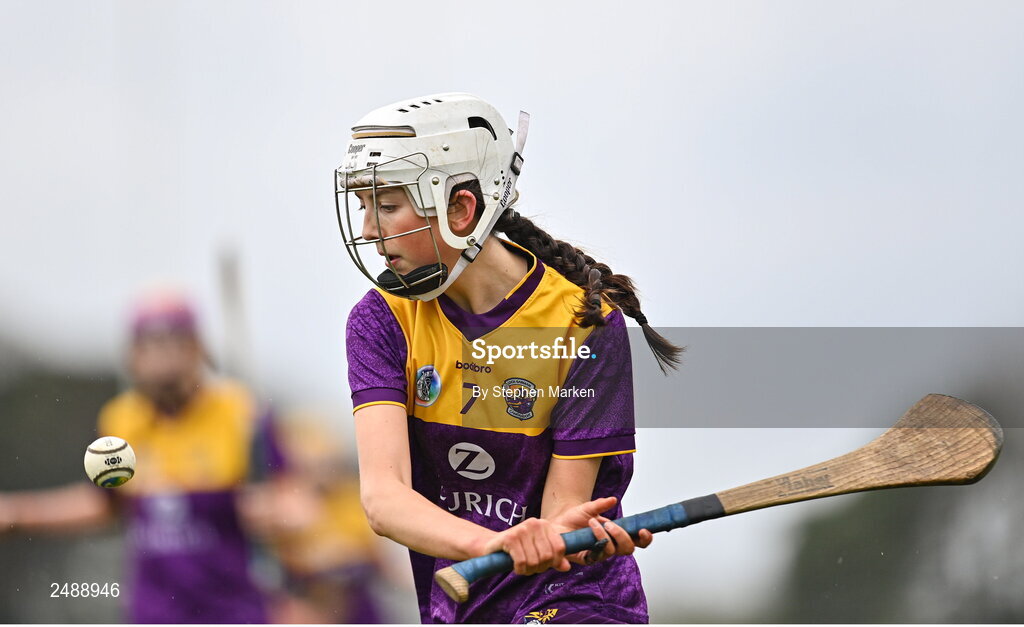 Sportsfile - Antrim v Wexford - Electric Ireland Camogie Minor A Shield ...