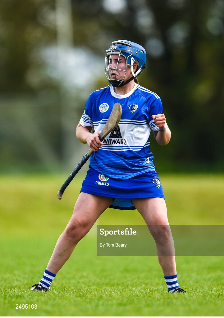 Sportsfile - Carlow v Laois - Electric Ireland Camogie Minor B All ...