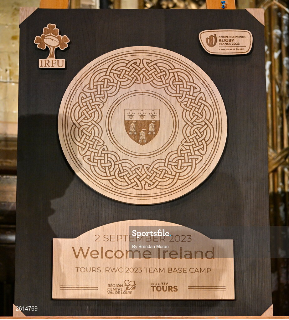 Sportsfile - Ireland Rugby World Cup Welcome Ceremony - 2614769