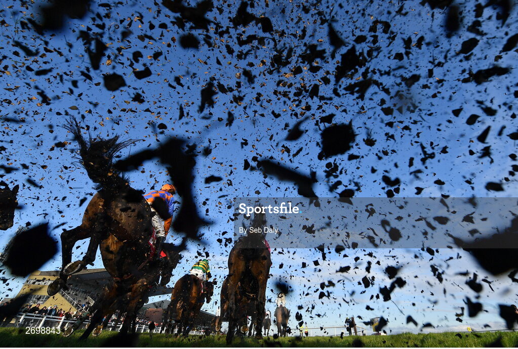 Sportsfile - Sportsfile Images of the Year 2023 - 2698843