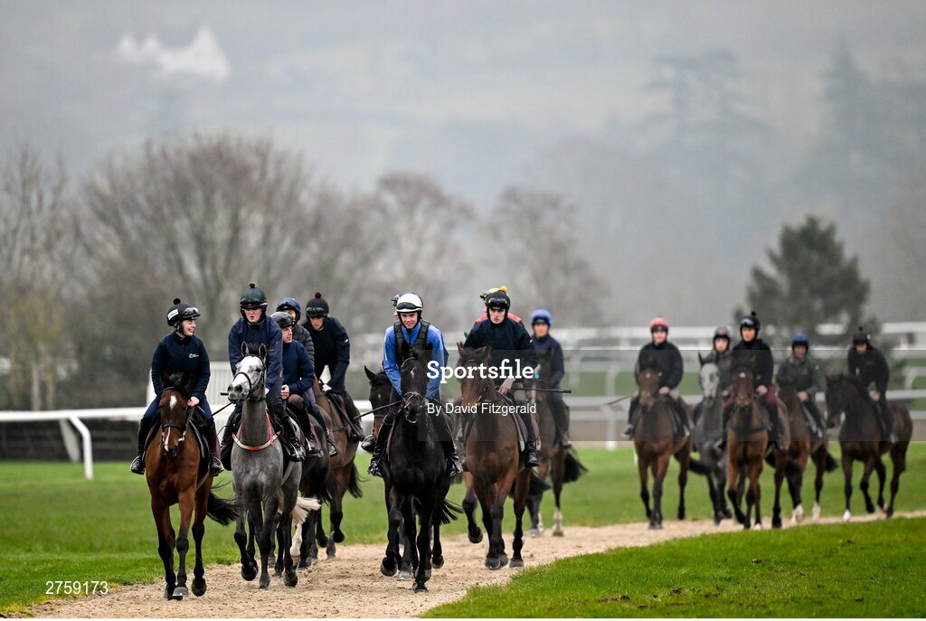 Sportsfile - Cheltenham Racing Festival 2024 - Previews - 2759173