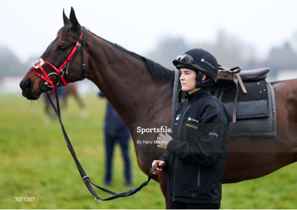 Sportsfile - Cheltenham Racing Festival - Previews - 3071357