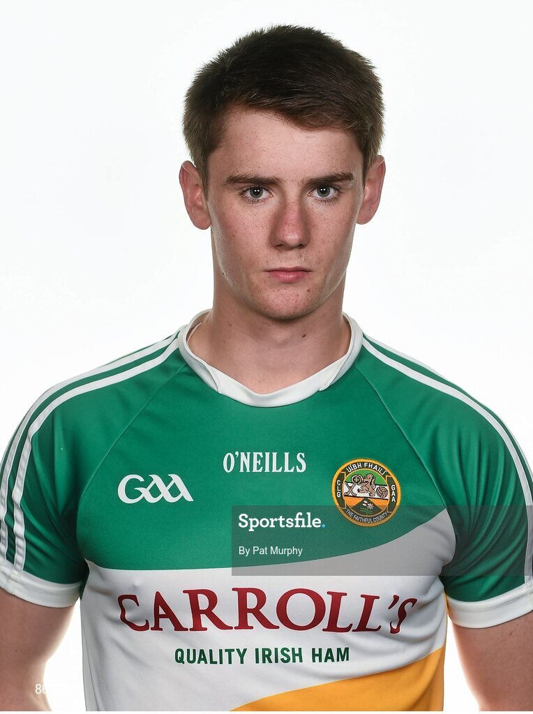 Sportsfile - Offaly Hurling Squad Portraits 2014 - 869561