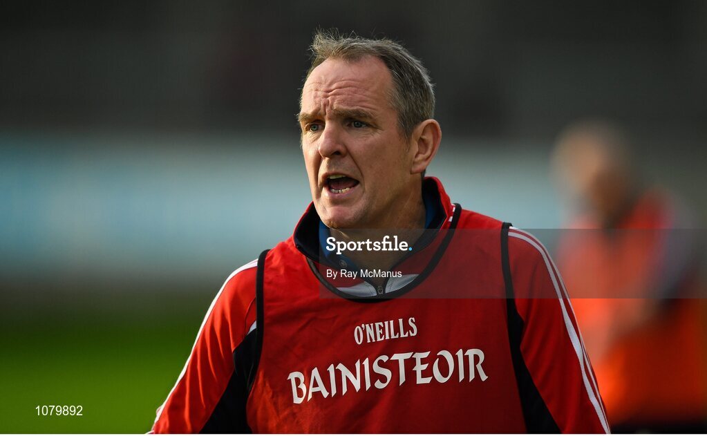 Sportsfile - Cuala v Clara - AIB Leinster GAA Senior Club Hurling ...
