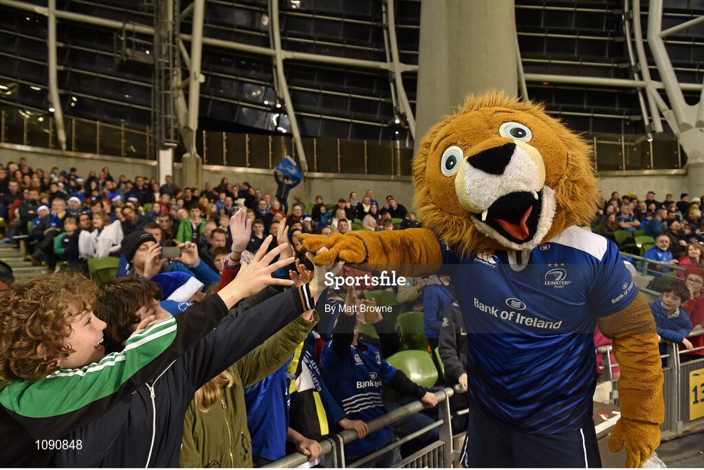 Sportsfile - Leinster Fans at Leinster v RC Toulon - European Rugby ...