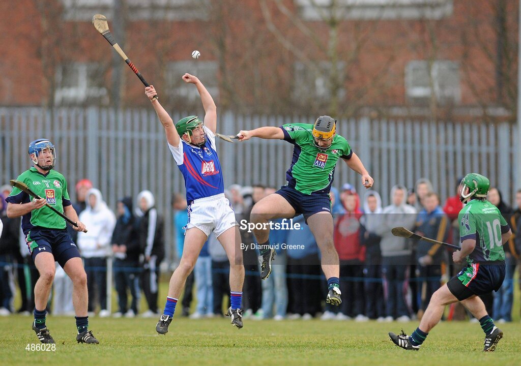 Sportsfile - Limerick Institute of Technology v Waterford Institute of ...