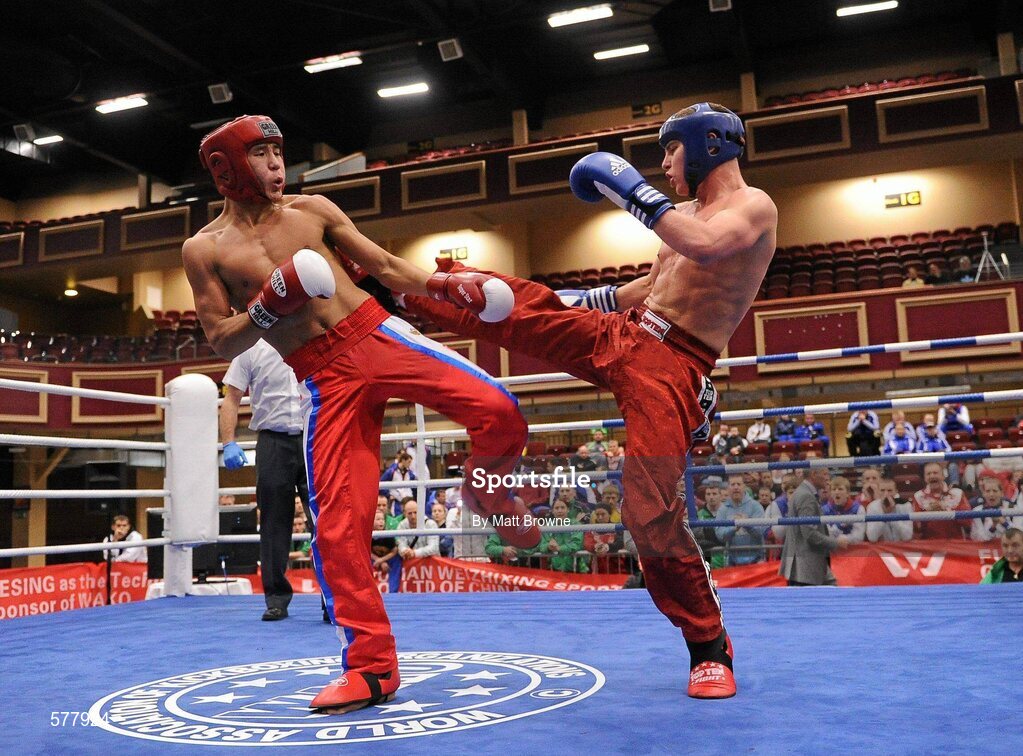 Sportsfile - 2011 WAKO World Kickboxing Championships - 577924