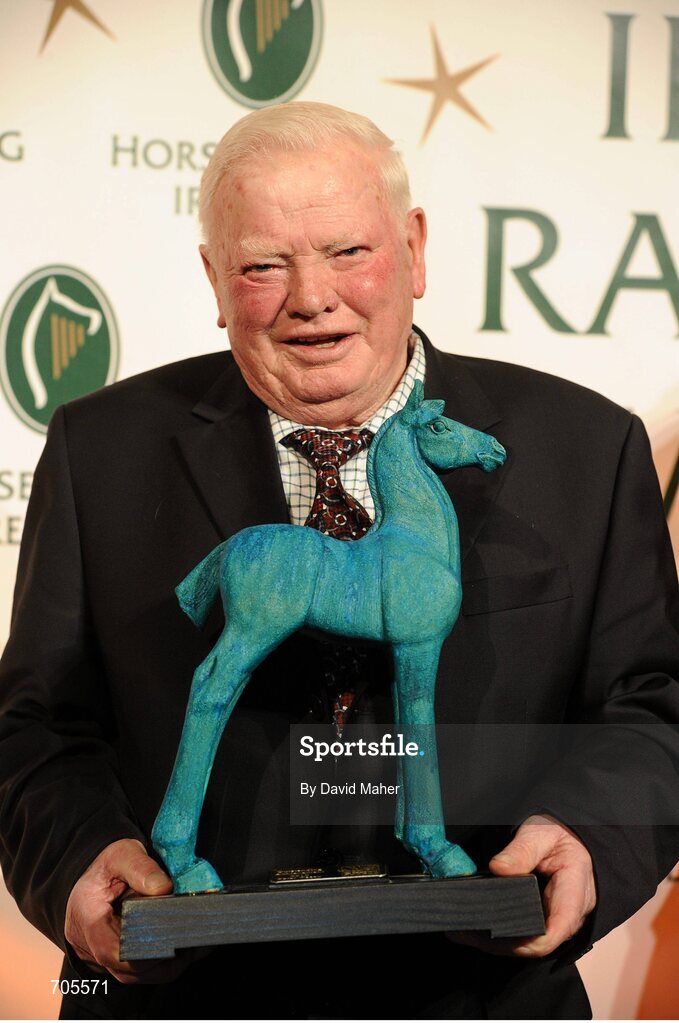 Sportsfile - Horse Racing Ireland Awards 2012 - 705571